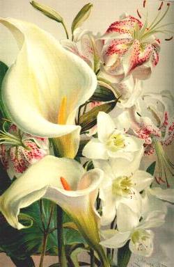 Shakespeare's Sonnets. 94. The amazing web site. Commentary. Sonnet 94.